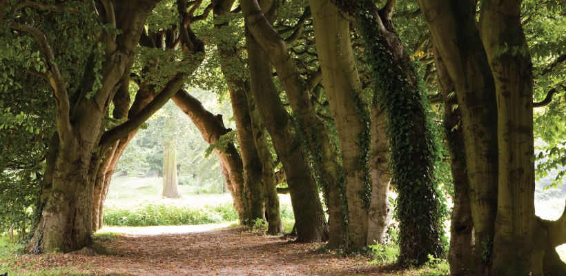 Over ons | GrijsGroen